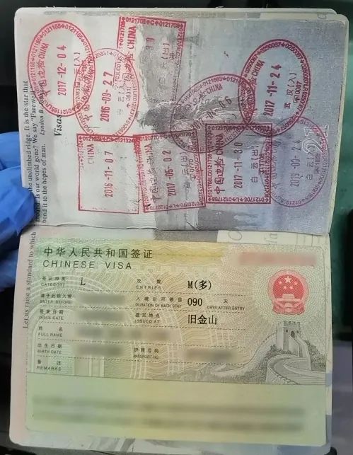Foreigner Denied Entry with DIY Documents at Border - AnyVisa